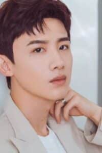 Top 25 Famous Chinese Actors: Handsome and Popular - BalHub